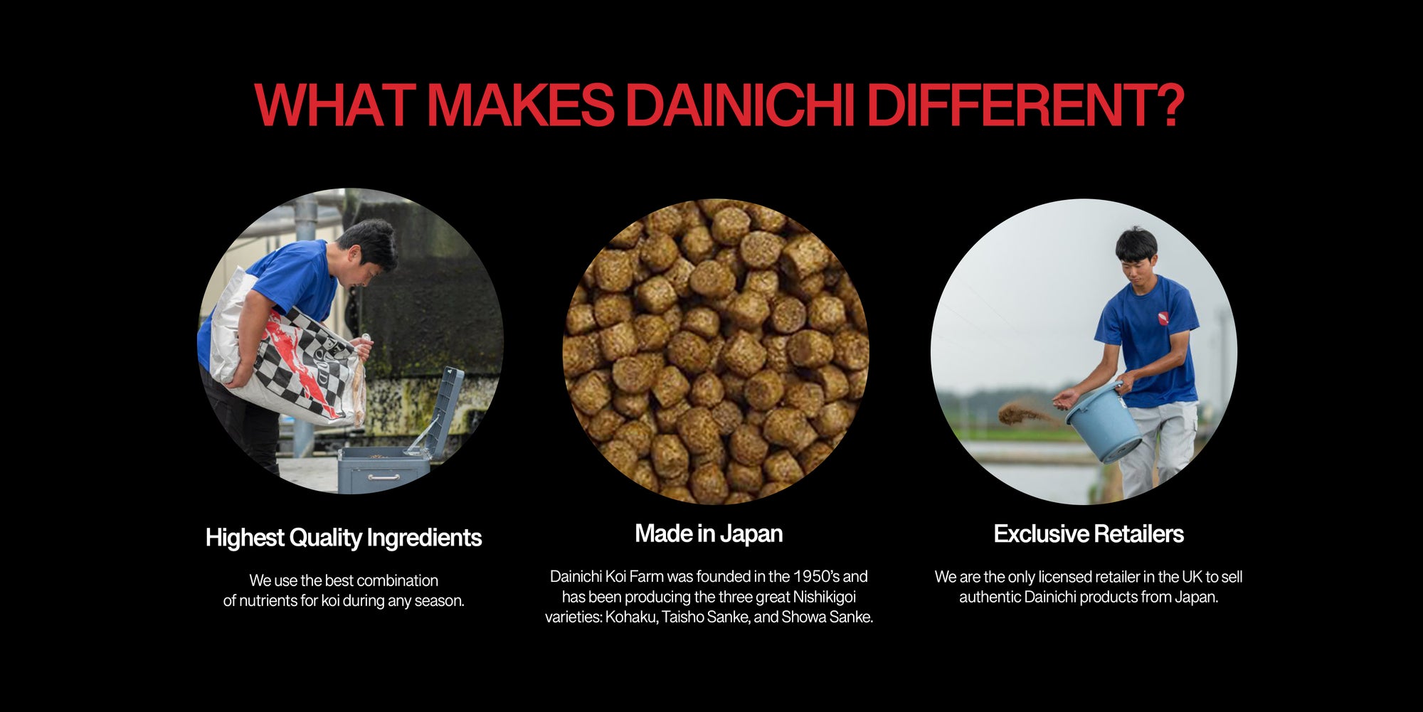 Dainichi United Kingdom – Dainichi UK