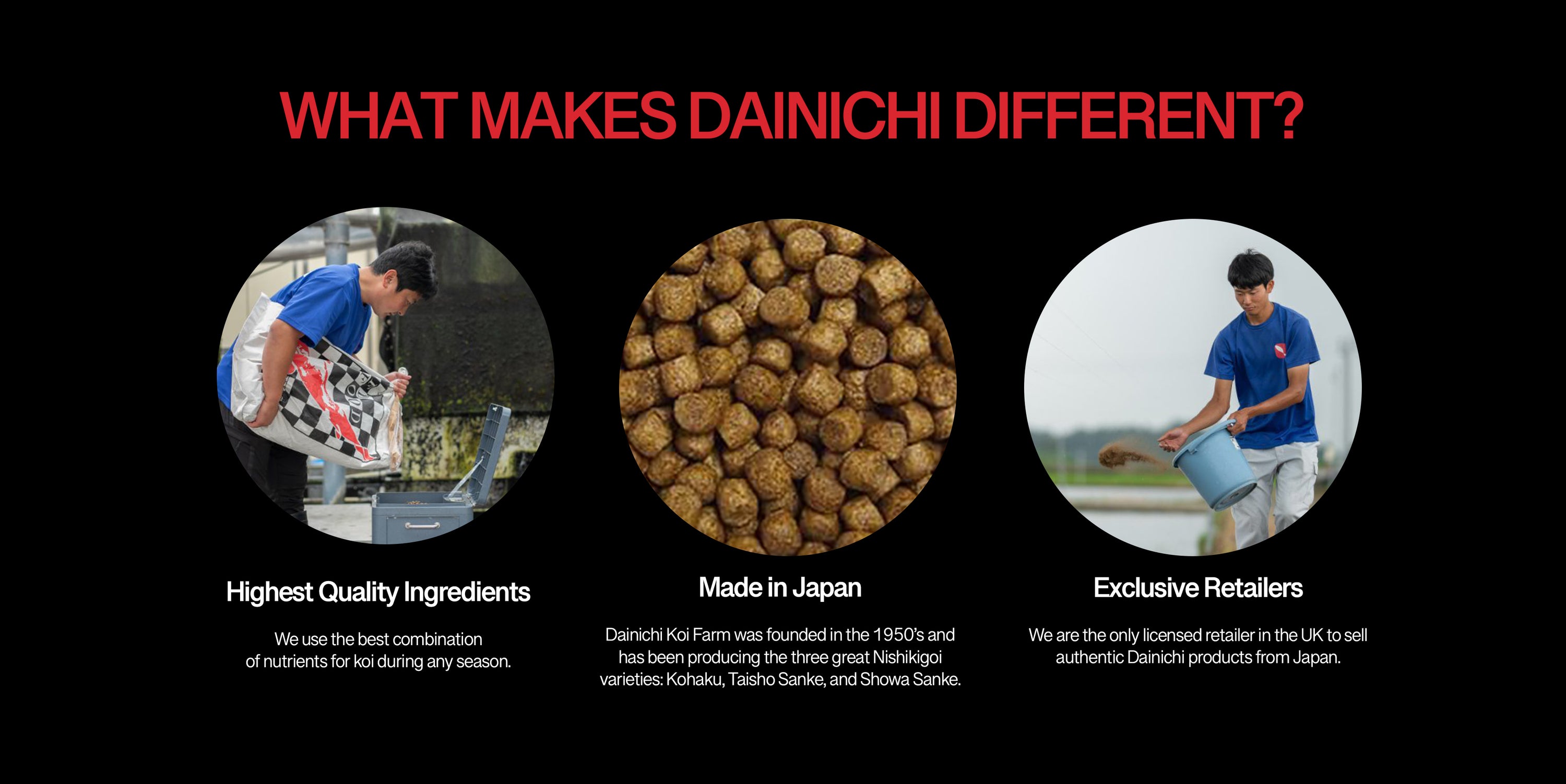 Dainichi United Kingdom – Dainichi UK