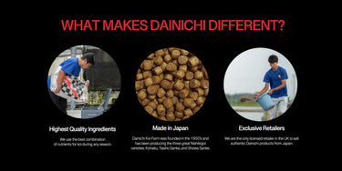 Dainichi United Kingdom – Dainichi UK